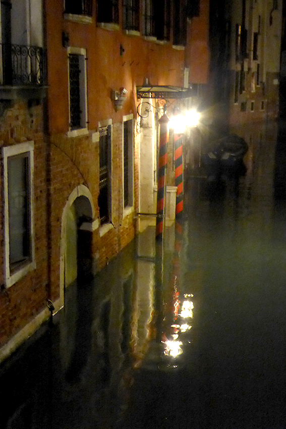 | A Venice Visit!
